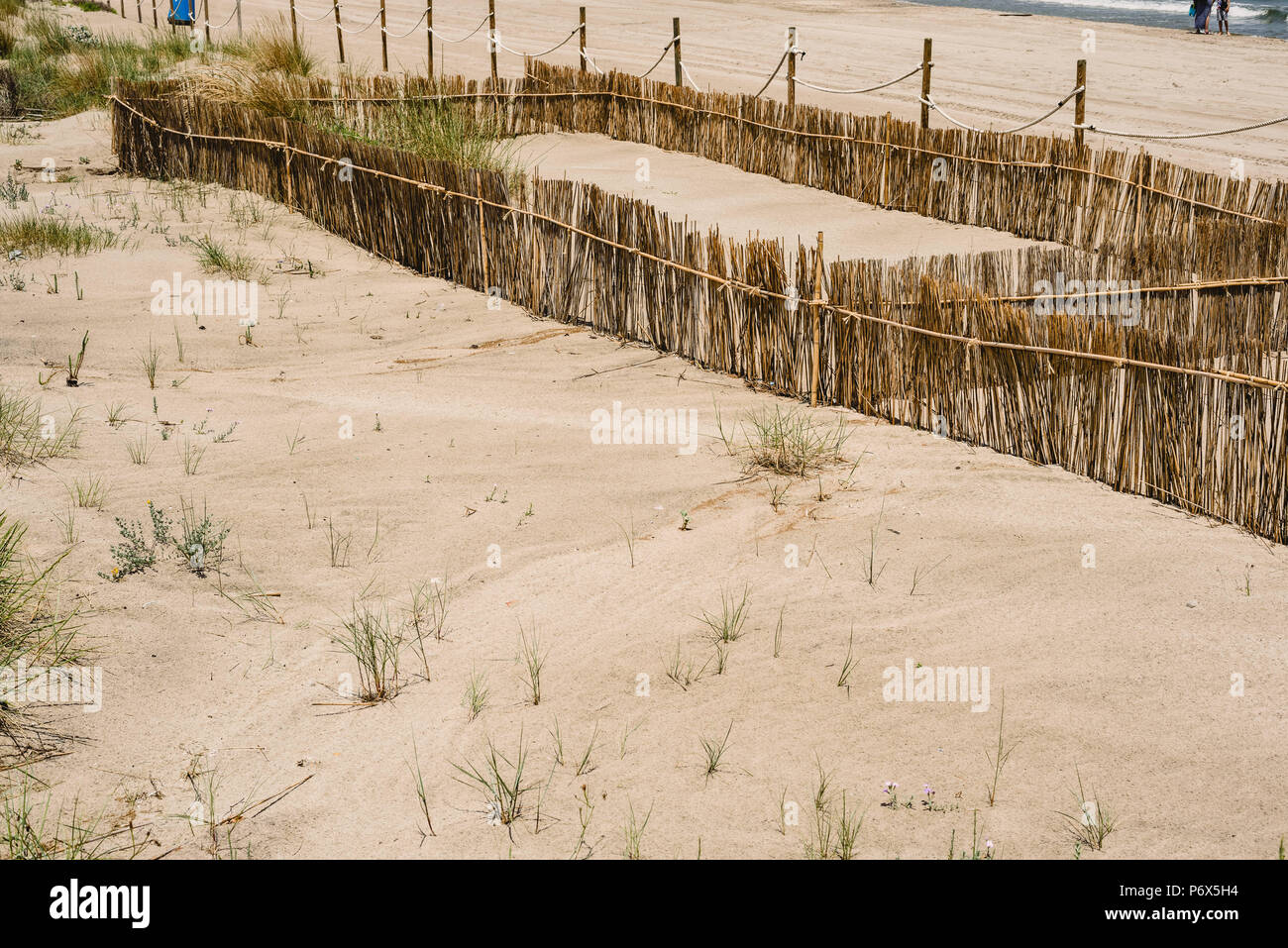 Fence to retain sand and create dunes on the beaches of Valencia Stock ...