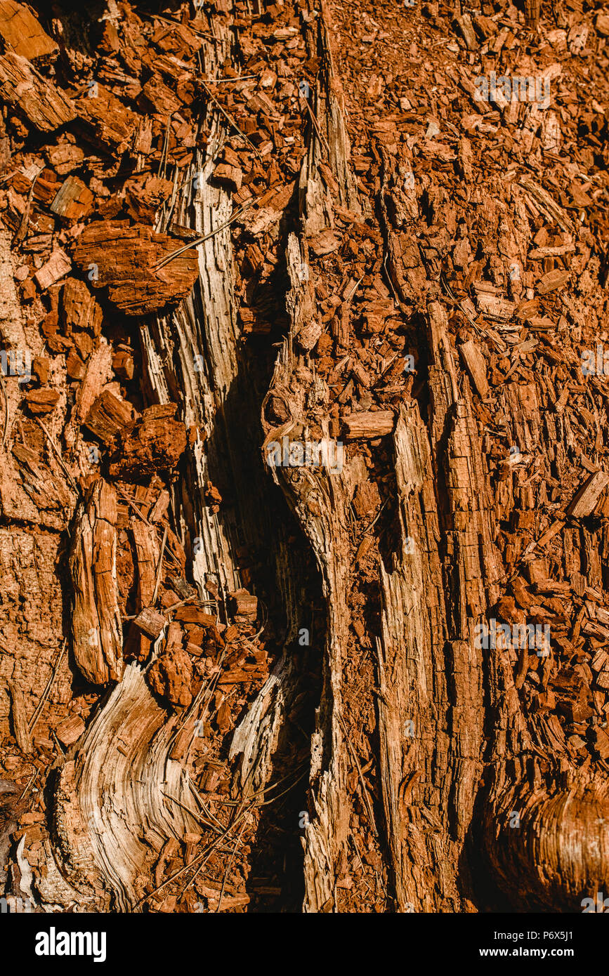 Textures of old and aged wood and tree trunks Stock Photo - Alamy