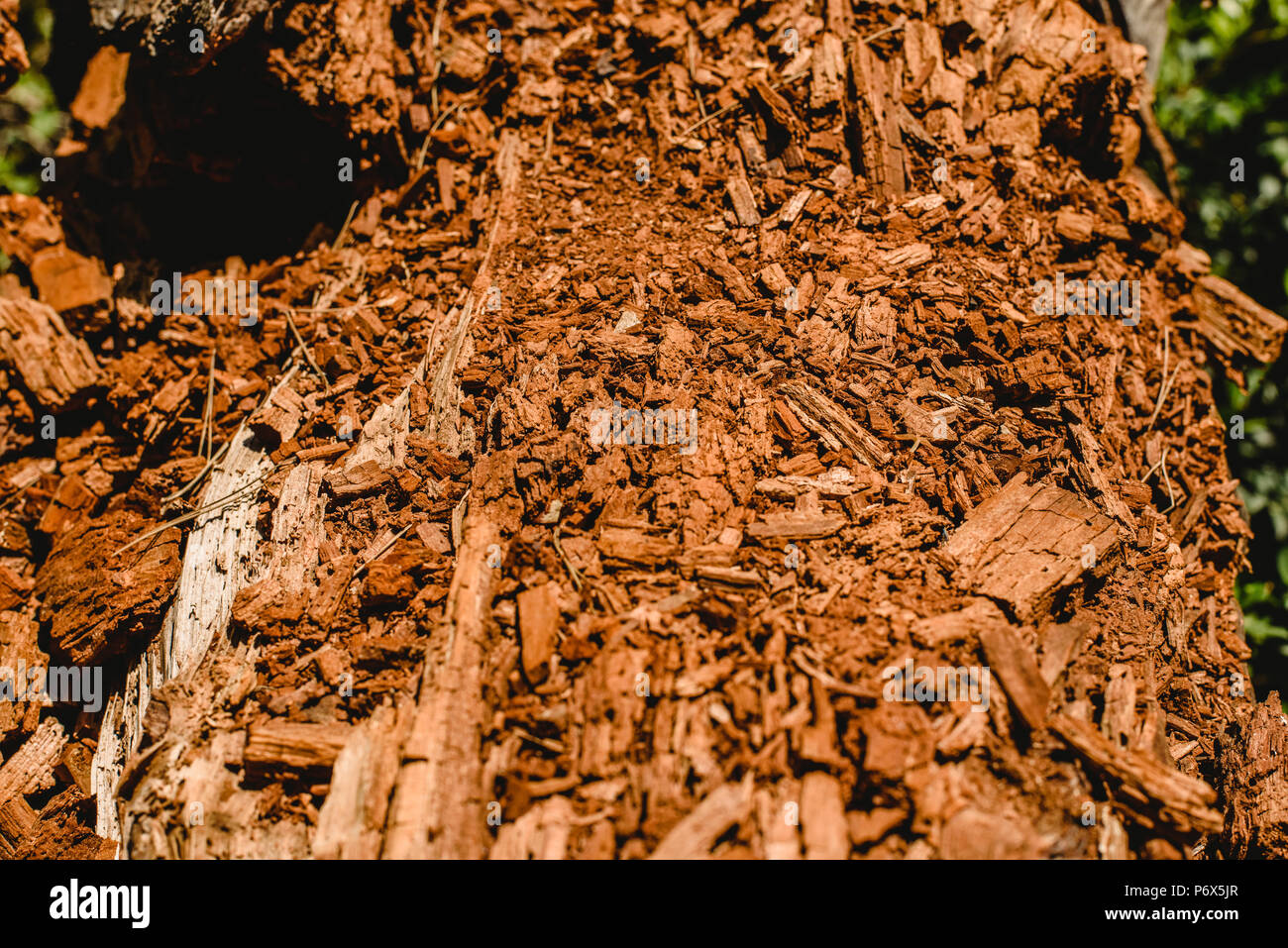 Textures of old and aged wood and tree trunks Stock Photo - Alamy