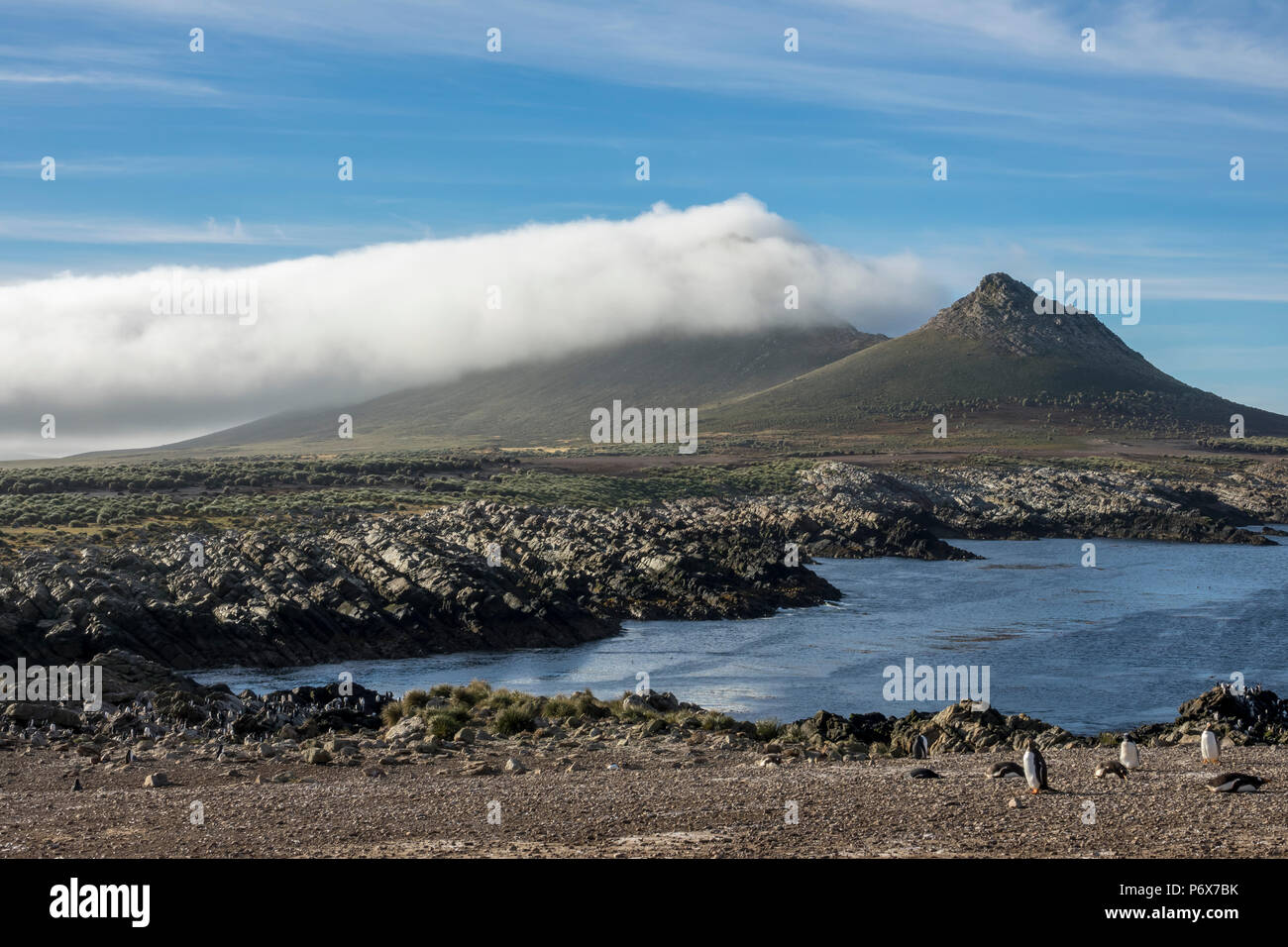 Clouds rolling over Steeple Jason Island, Falkland Islands Stock Photo ...