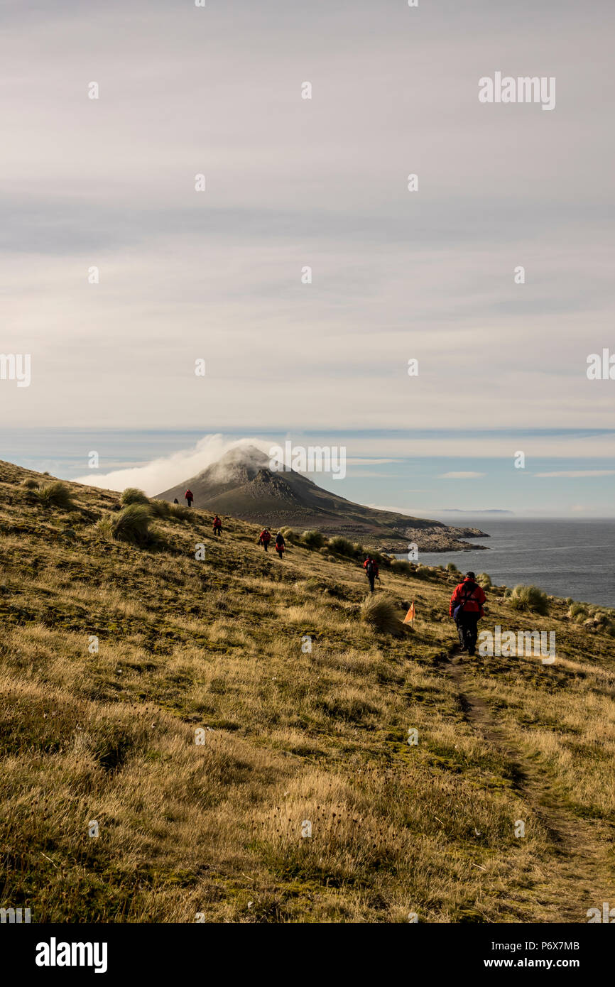 Expedition ship passengers hiking on Steeple Jason Island, Falkland ...