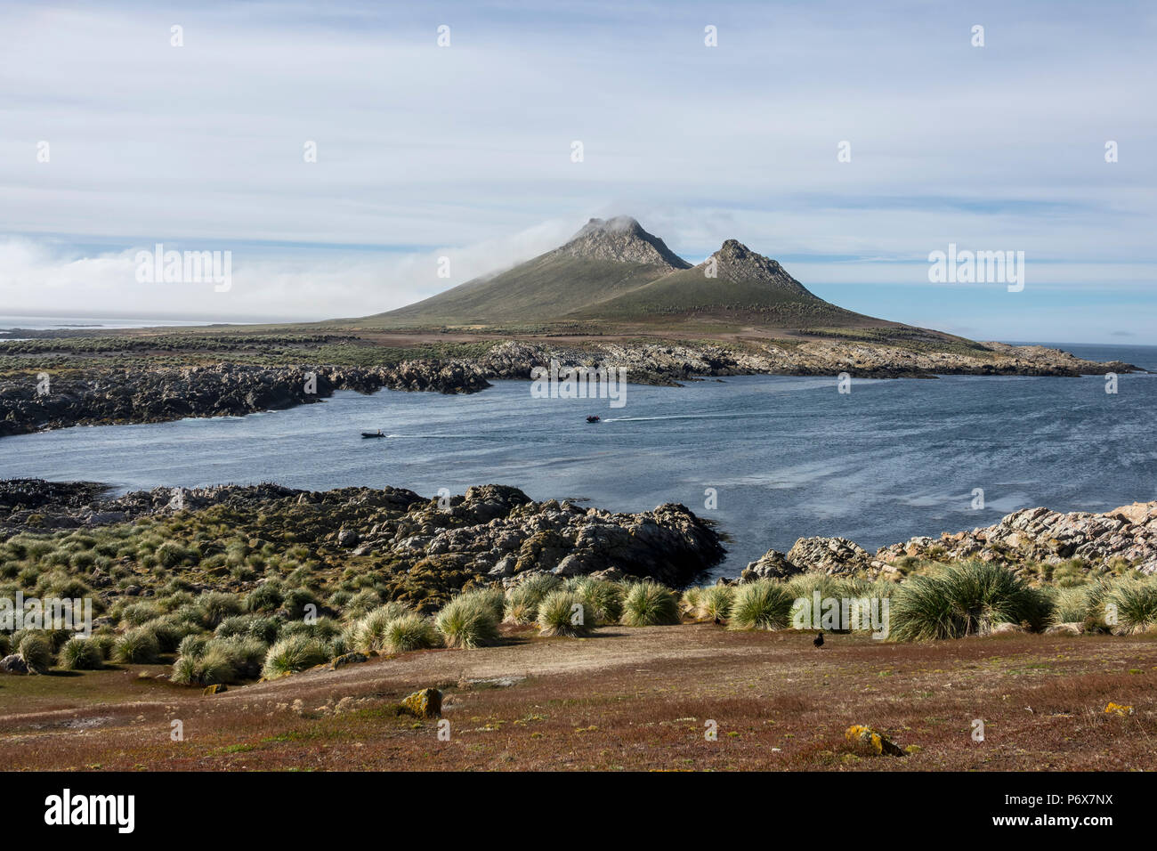 The rocky peaks of Steeple Jason Island, Falkland Islands Stock Photo ...