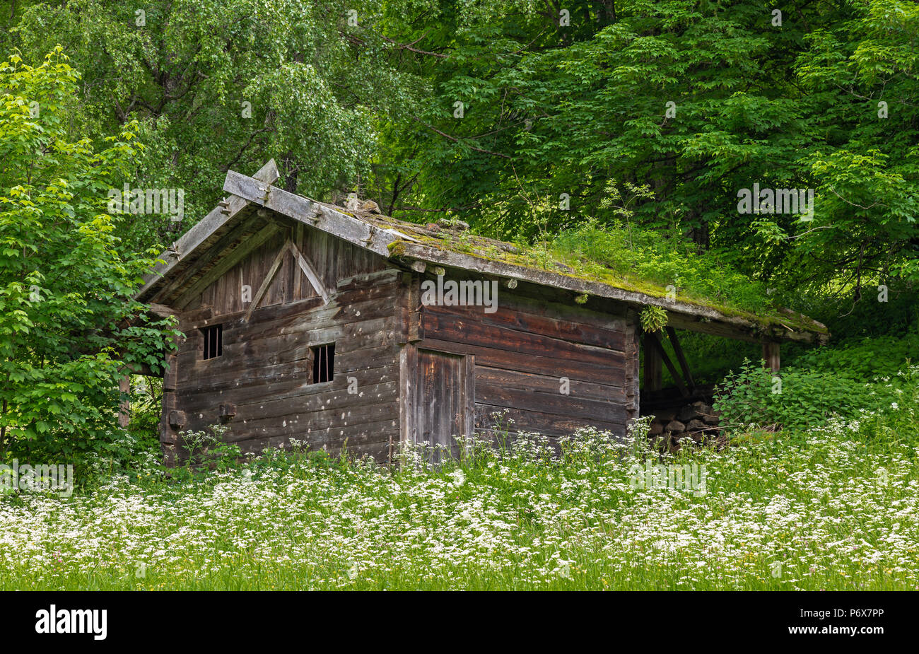 Old hut hi-res stock photography and images - Alamy