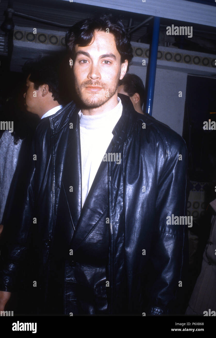 LOS ANGELES, CA - JANUARY 14: Actor Brandon Lee attends 'Hearts of ...