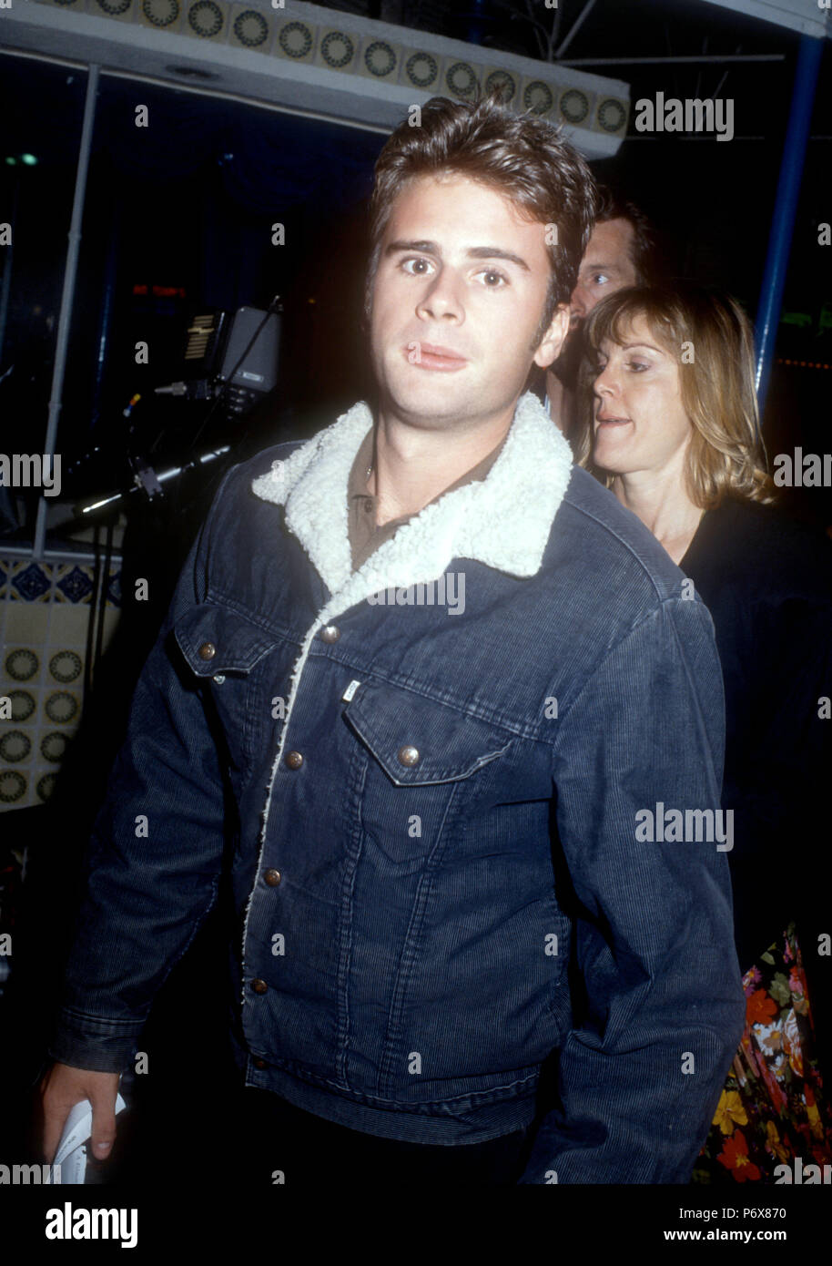 LOS ANGELES, CA - JANUARY 14: Actor/musician Jamie Walters attends ...