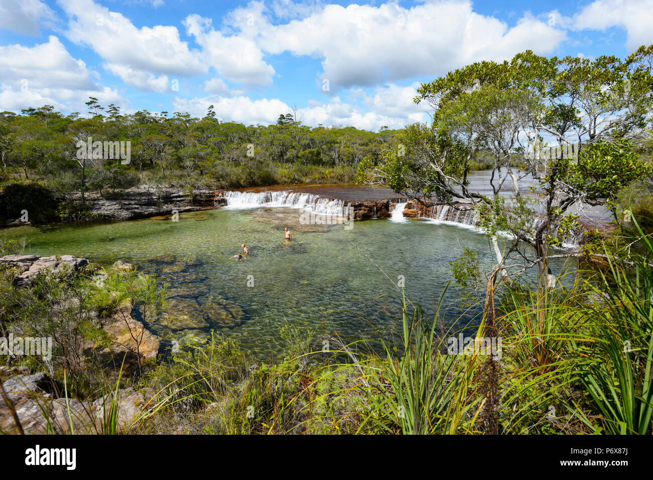 Tourists swimming at picturesque Fruit Bat Falls, a population ...