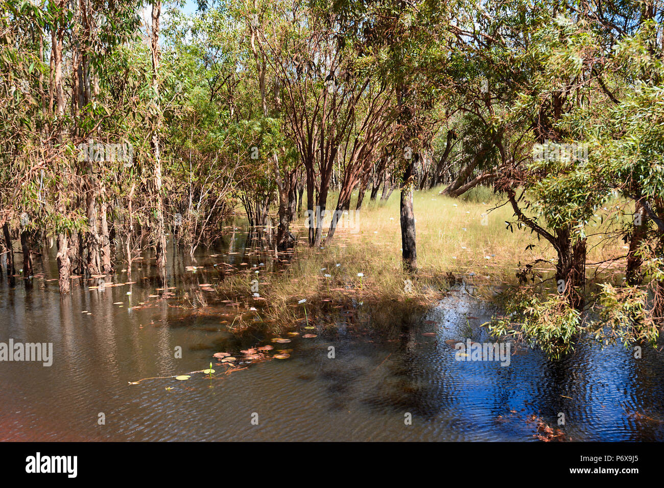 Billabongs hi-res stock photography and images - Alamy