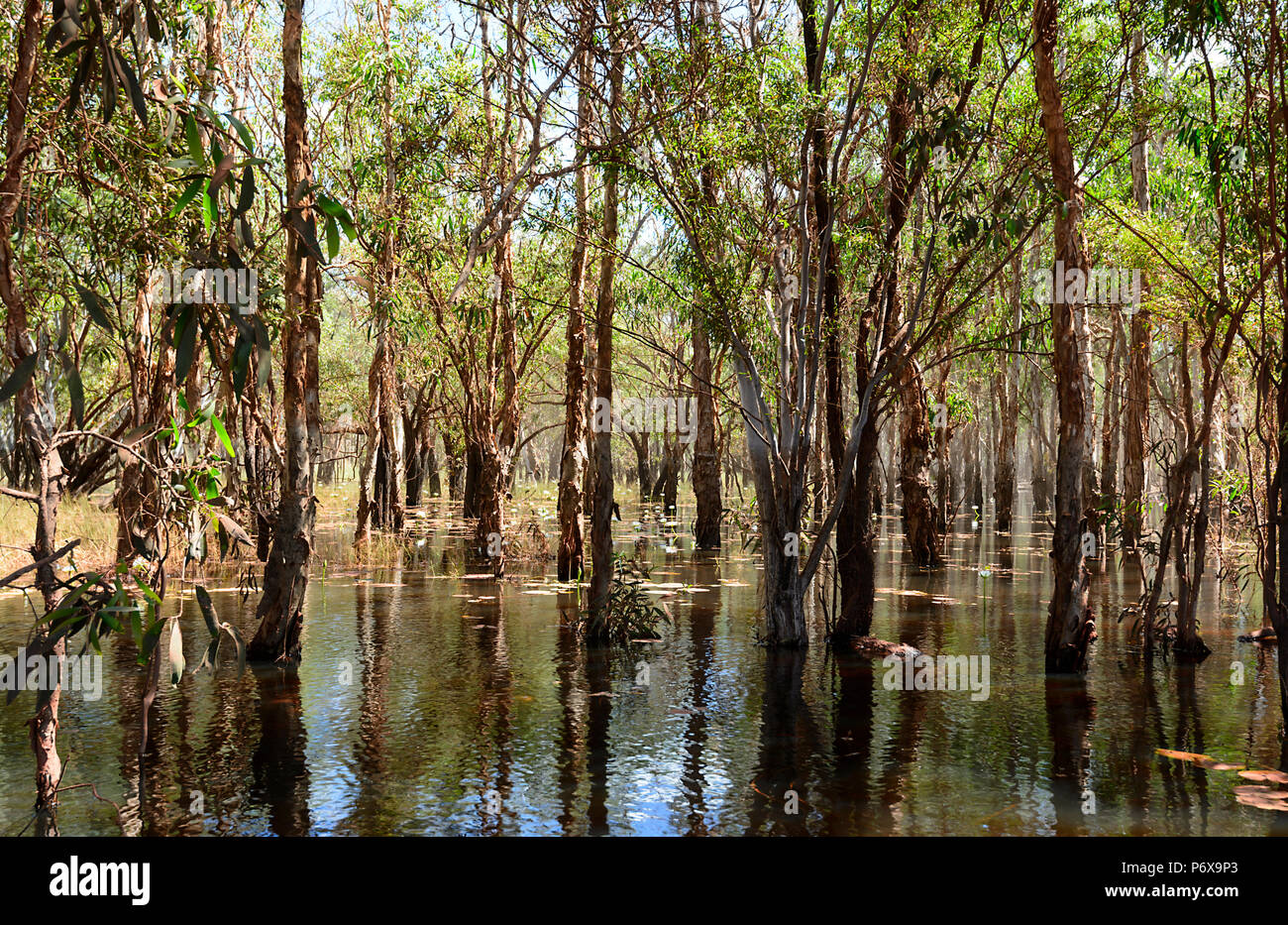 Billabongs hi-res stock photography and images - Alamy