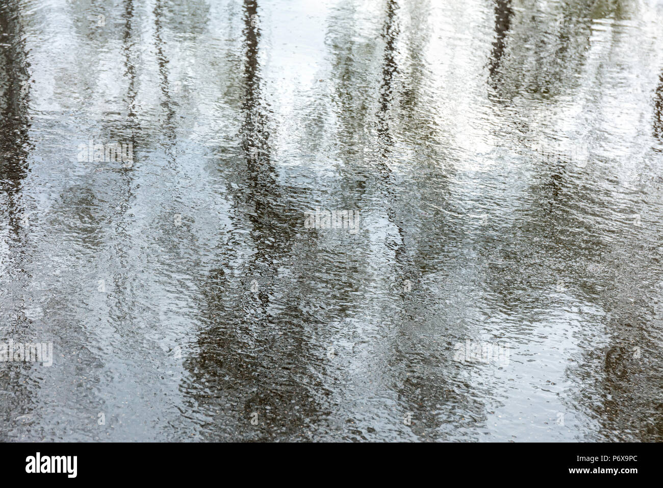 wet street sidewalk after rain. big water puddle with trees and sky ...
