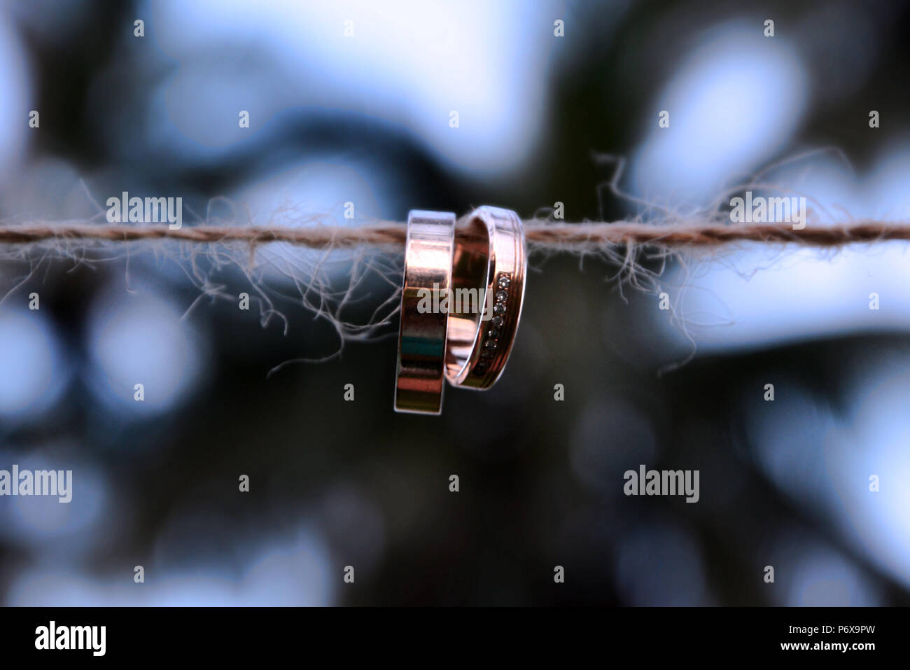 two gold wedding rings hanging on a rope on a background of palm trees ...