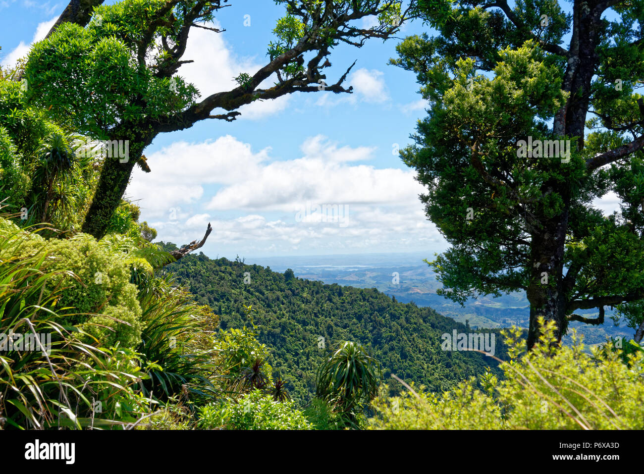 Mt pirongia new zealand hi-res stock photography and images - Alamy