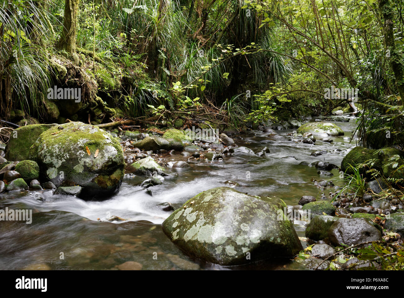 Pirongia hi-res stock photography and images - Alamy