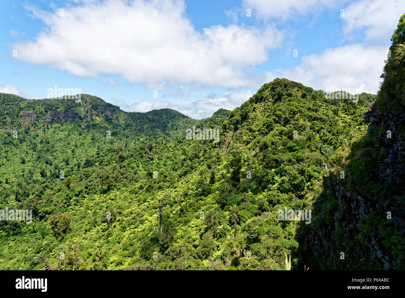 Vista of Mt Pirongia in New Zealand from near the summit Stock Photo ...