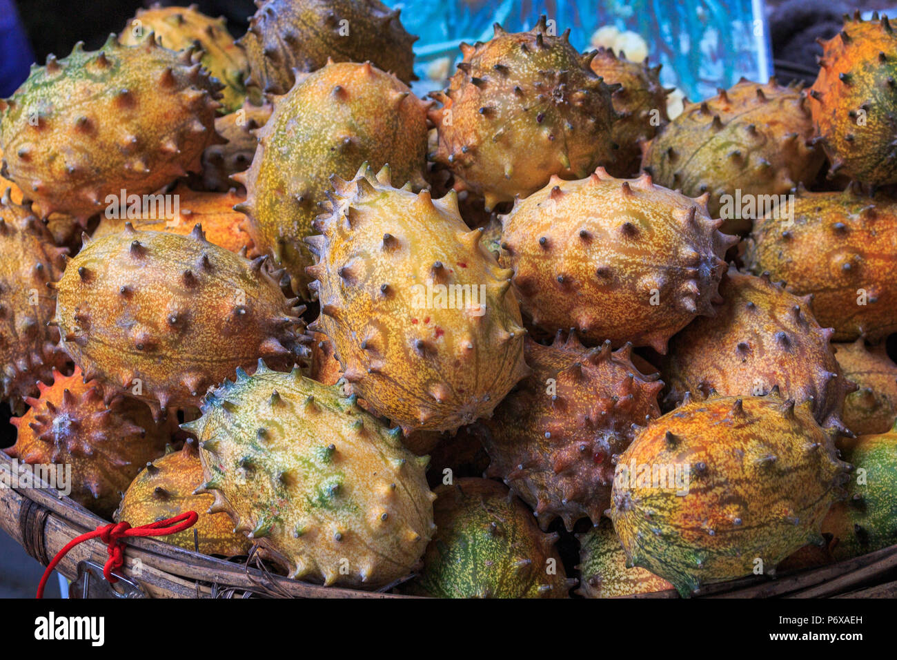 African melon hi-res stock photography and images - Alamy