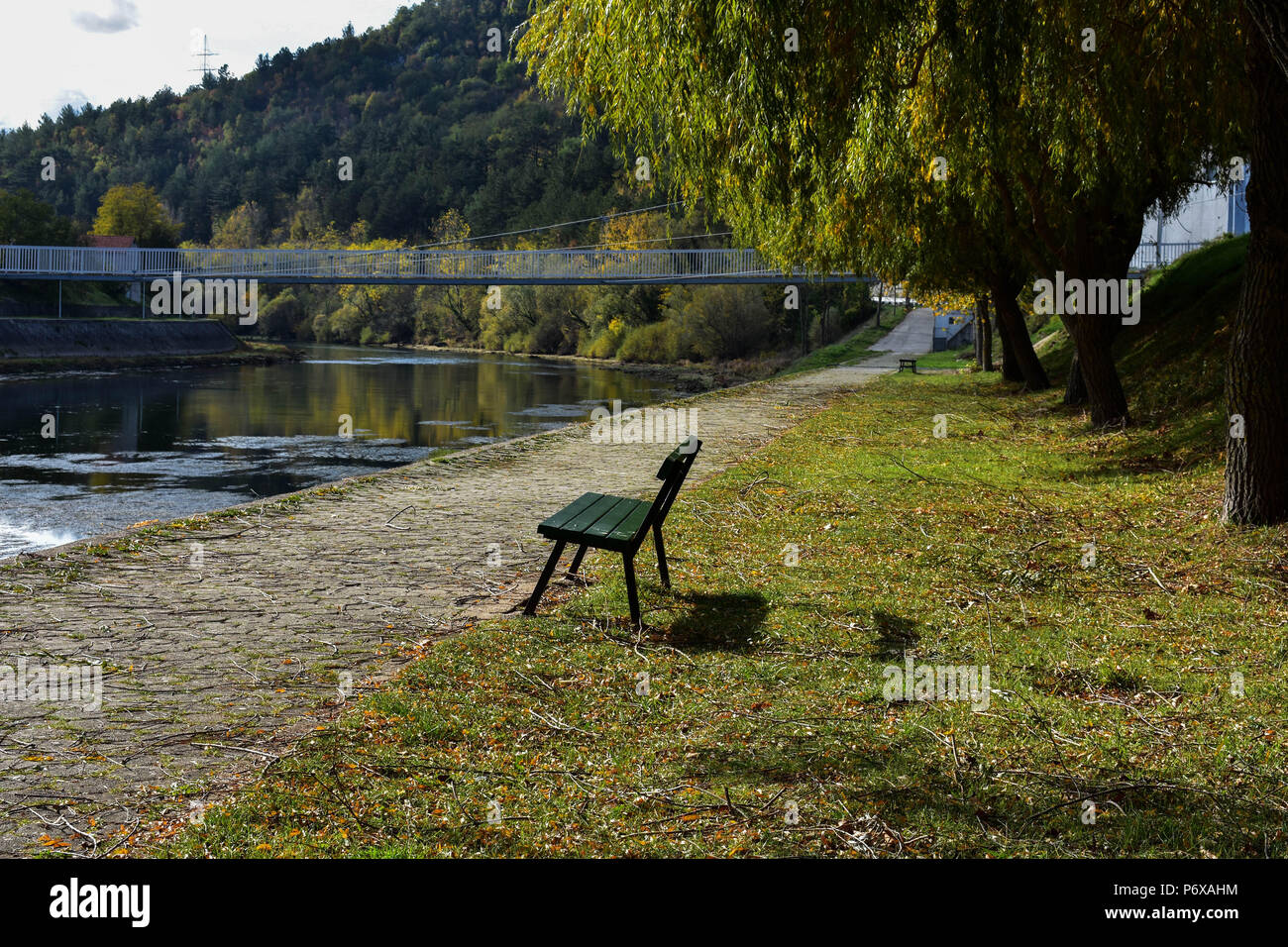 Green wooden bench by the river in beautiful nature environment Stock ...