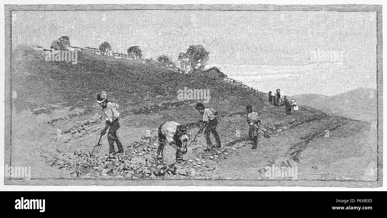 Farming In 1880s High Resolution Stock Photography and Images - Alamy
