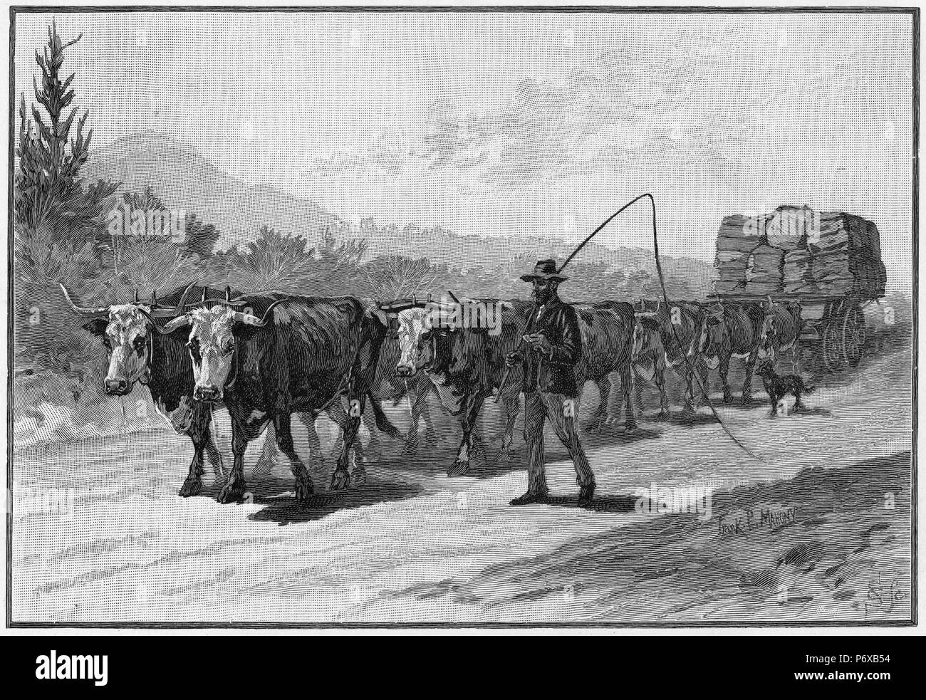 Load 19th century hi-res stock photography and images - Alamy