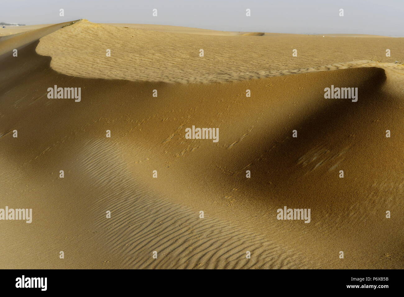 Sand Dunes in Desert of Saudi Arabia. No men, no life only sand every ...