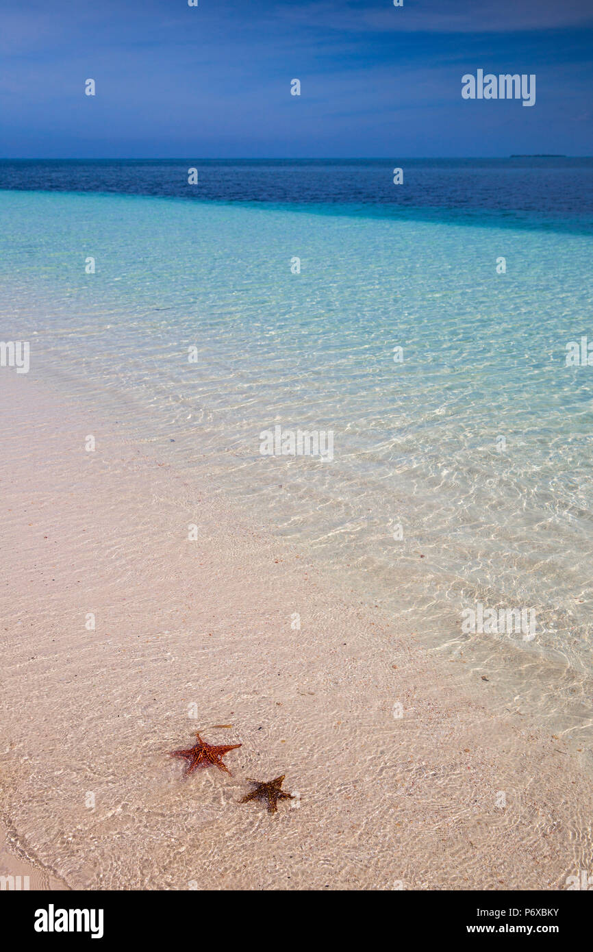 Cuba, Pinar del RÃ­o Province, Cayo Levisa, Starfish on white sand ...