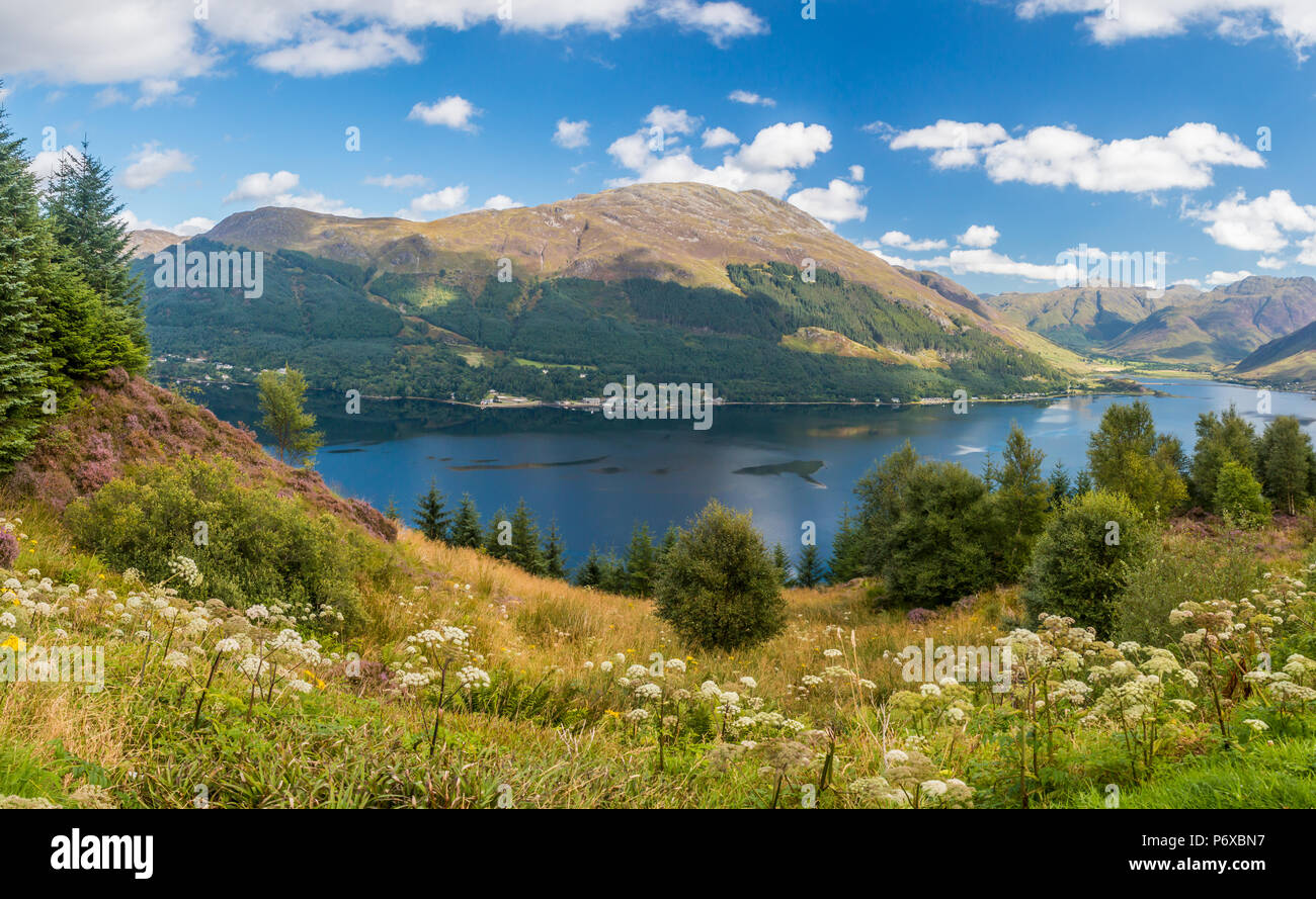 Composite image of Loch Duich and wildflowers, Ratagan, Scotland ...