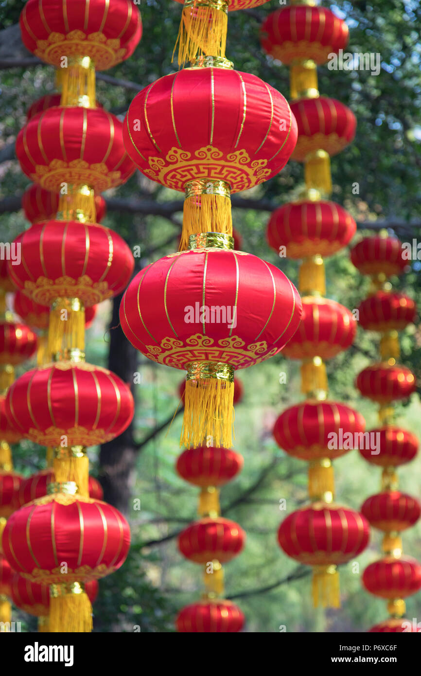 Lizhi see hi-res stock photography and images - Alamy