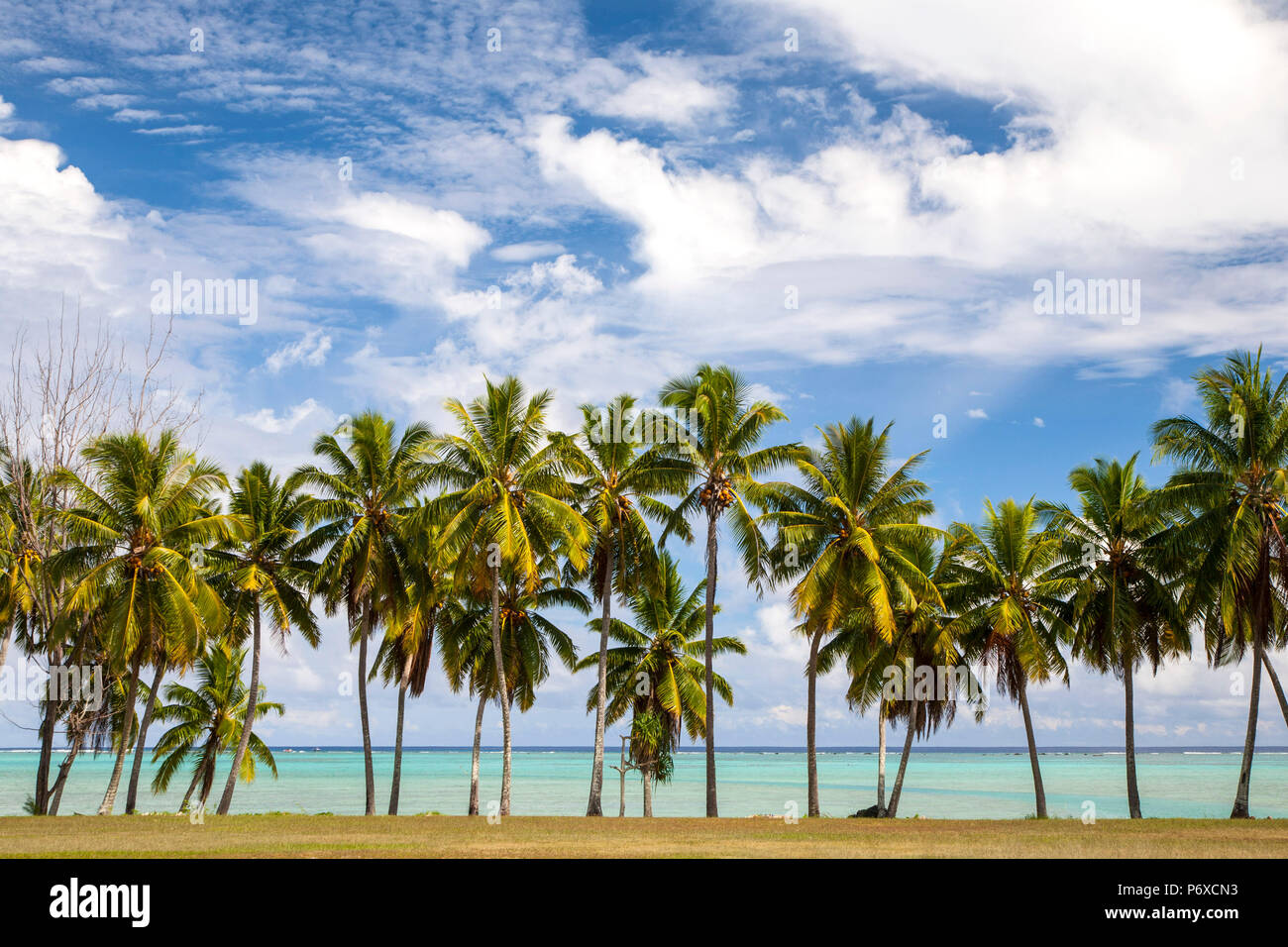 Cook islands hi-res stock photography and images - Alamy