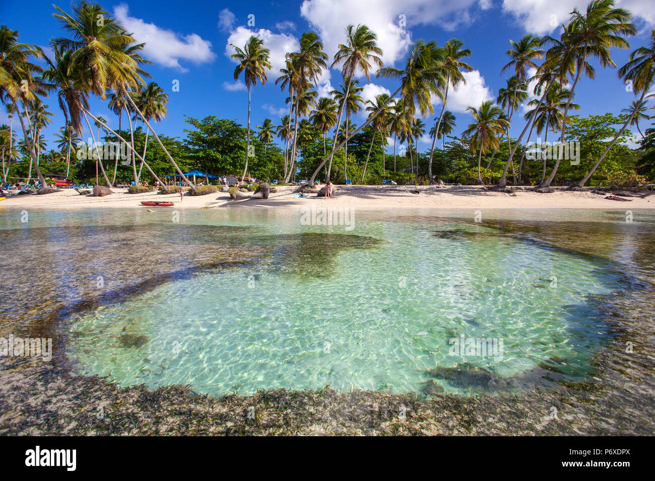 Dominican Republic, Samana Peninsula, Las Galleras, La Playita beach ...