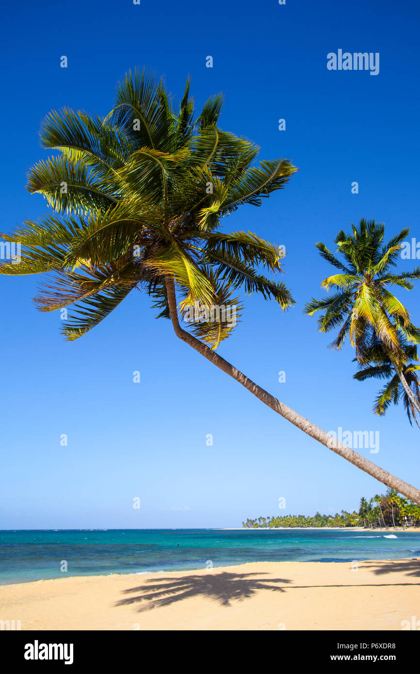 Dominican Republic, Samana Peninsula, Beach at Las Terrenas Stock Photo ...