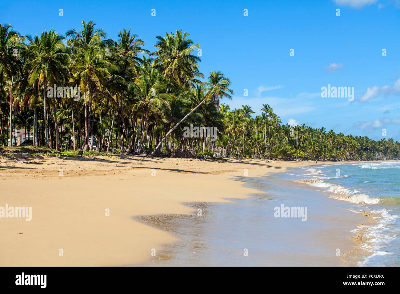Playa de las terrenas hi-res stock photography and images - Alamy