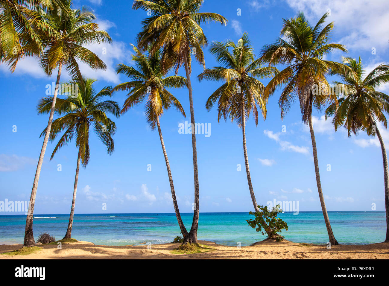 Dominican Republic, Samana Peninsula, Beach at Las Terrenas Stock Photo ...