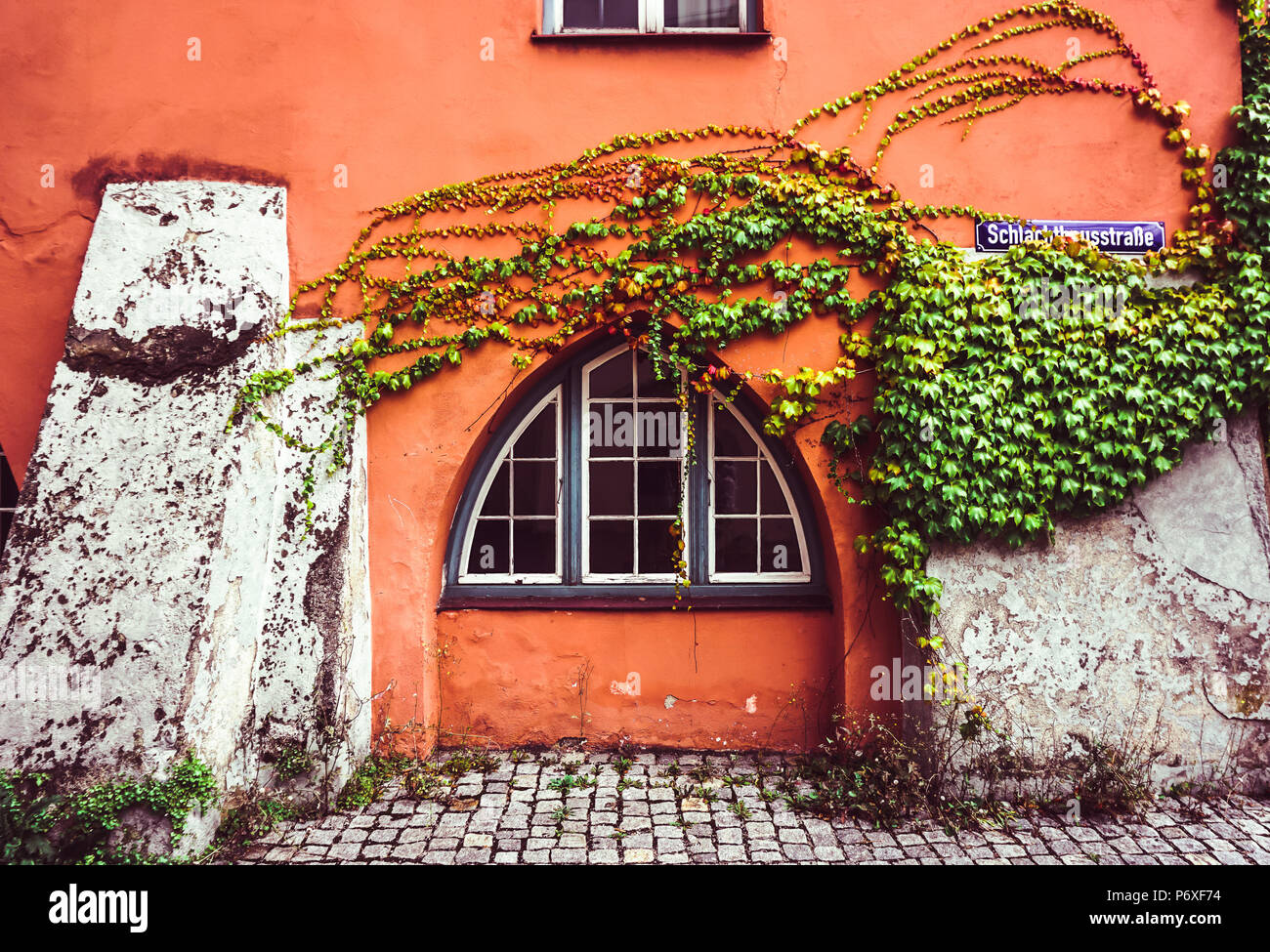 Colorful vines hi-res stock photography and images - Alamy