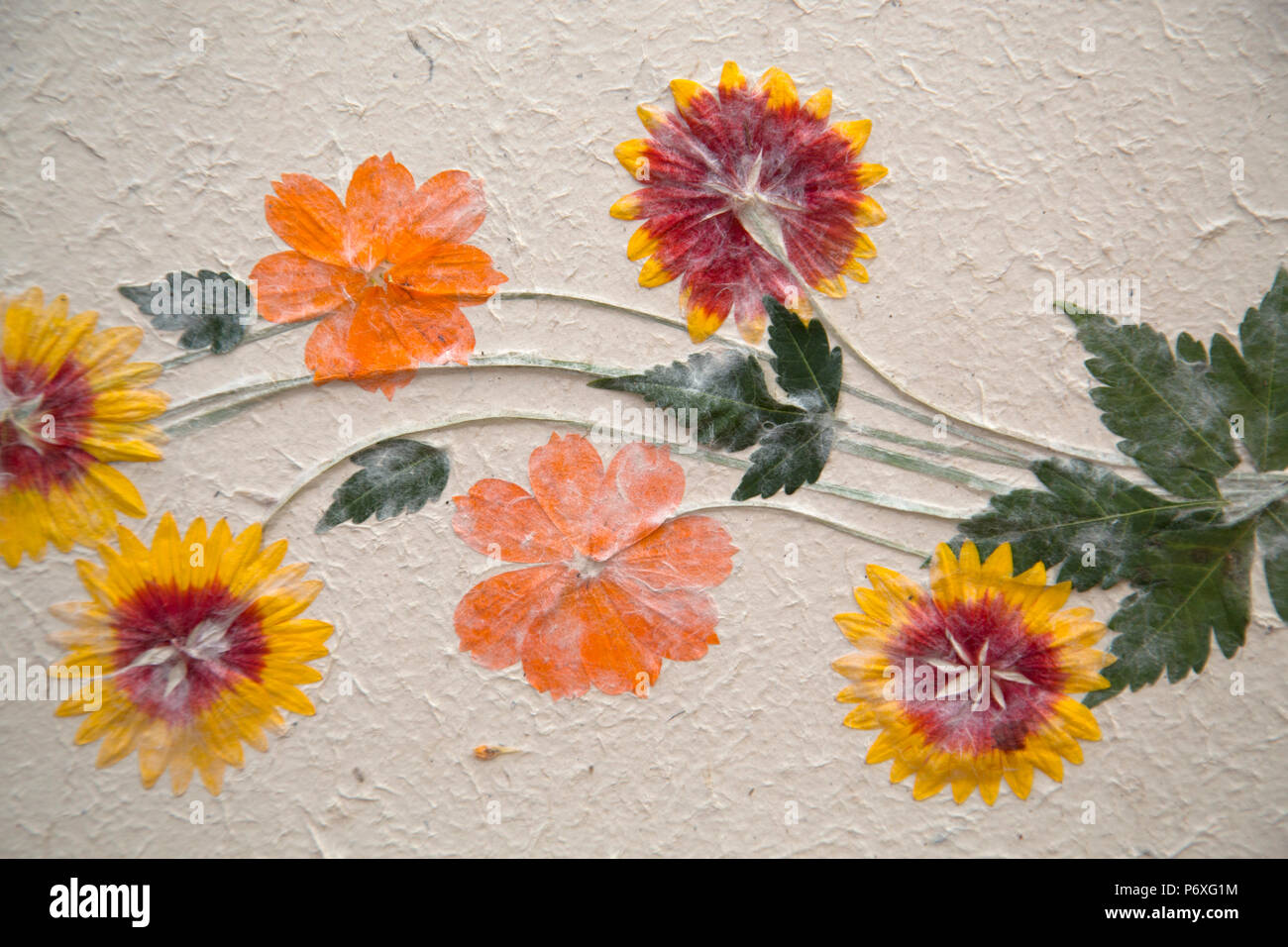 Hand made paper, Madagascar Stock Photo - Alamy