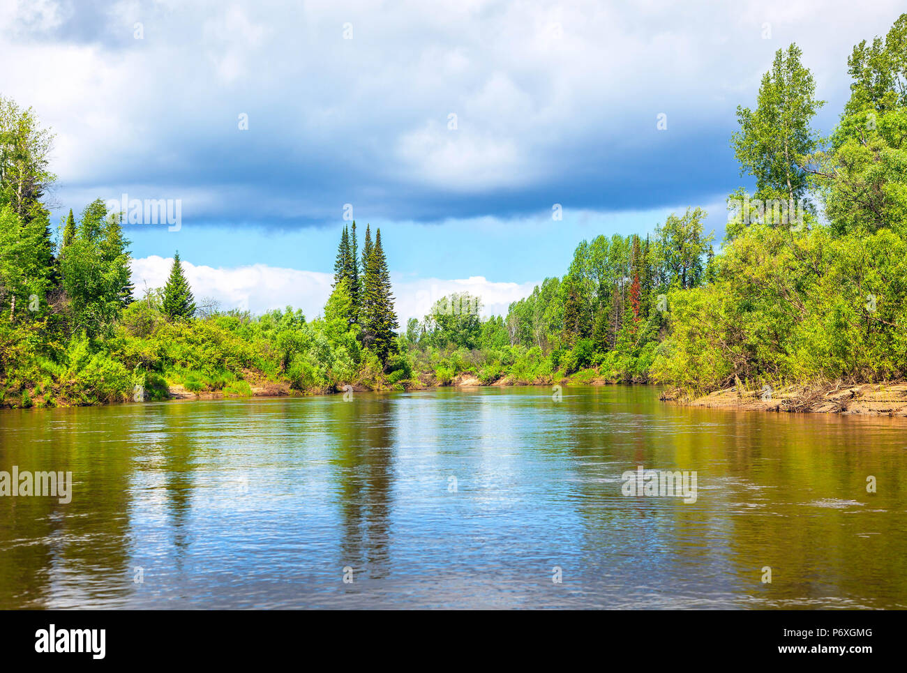 Siberia taiga forest hi-res stock photography and images - Alamy