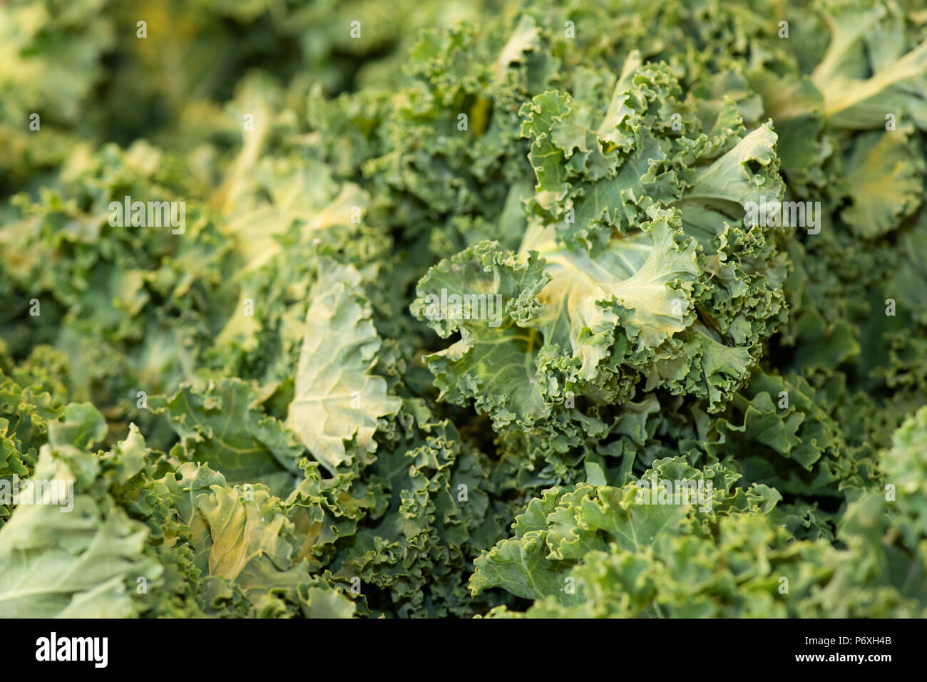 Raw unwashed vegetables hi-res stock photography and images - Alamy