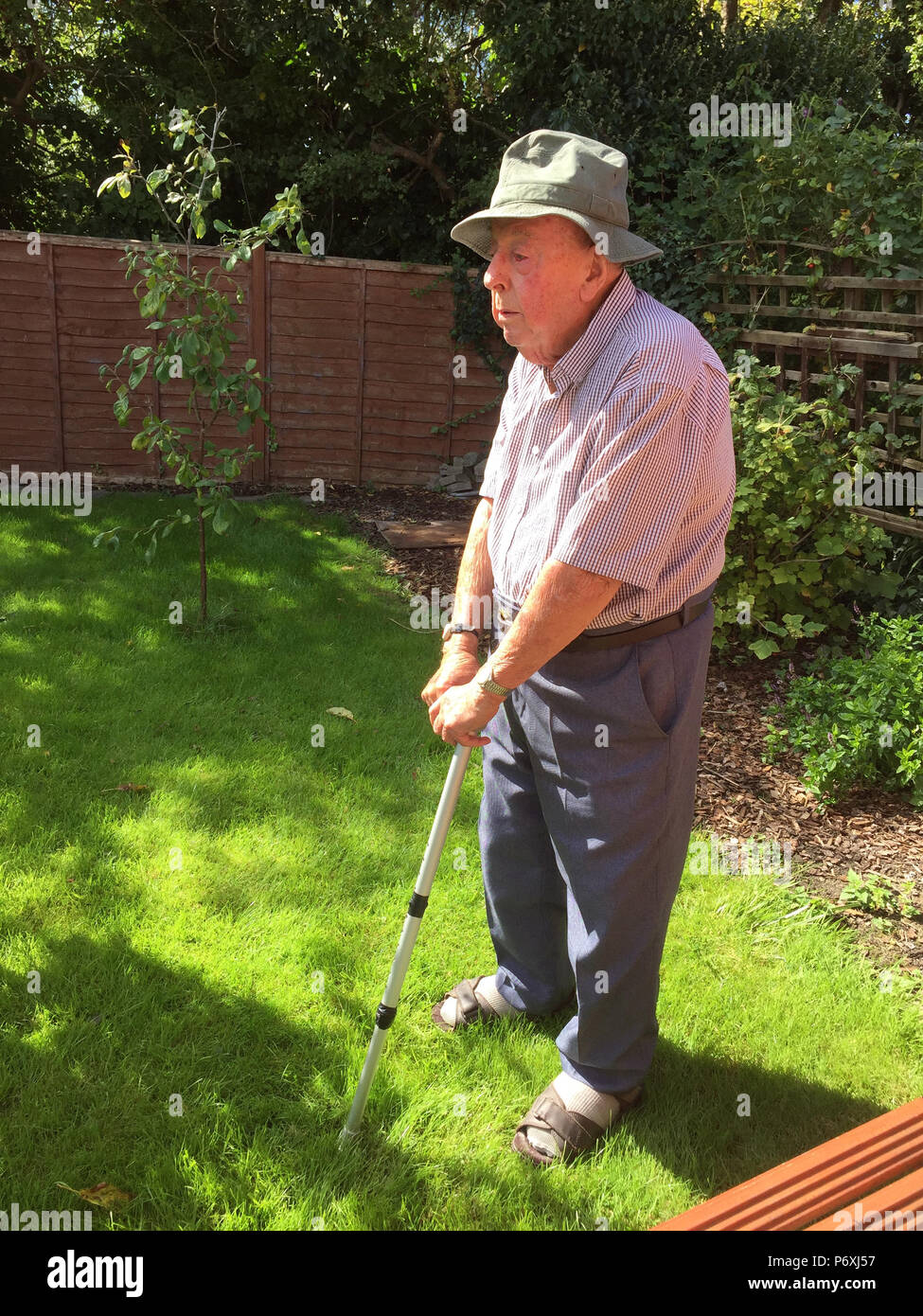 Elderly man standing in his garden Stock Photo - Alamy
