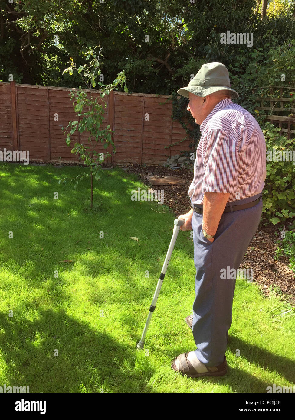 Elderly man standing hi-res stock photography and images - Alamy