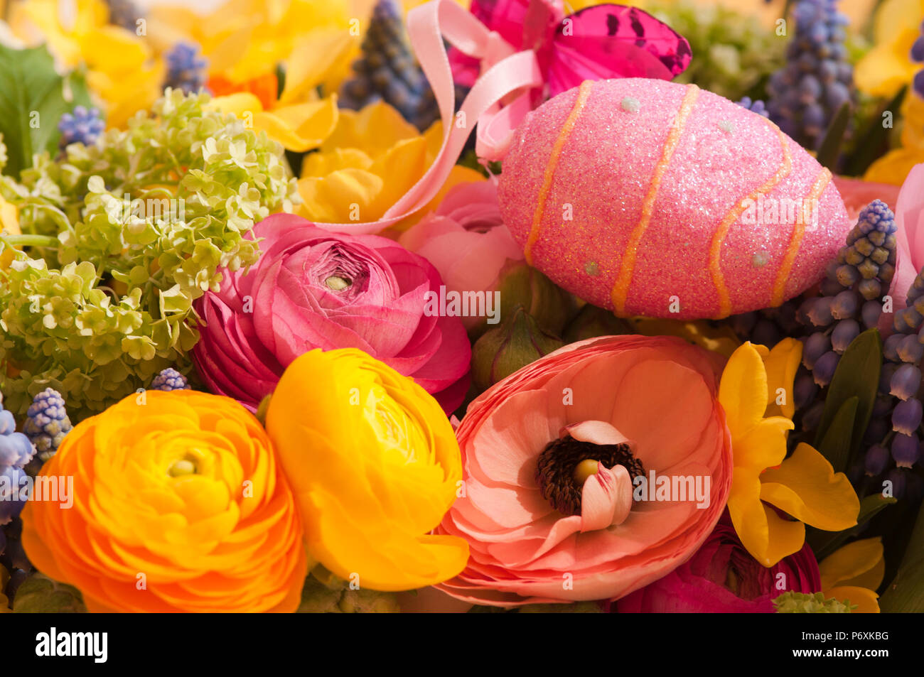 Beautiful spring flowers hi-res stock photography and images - Alamy