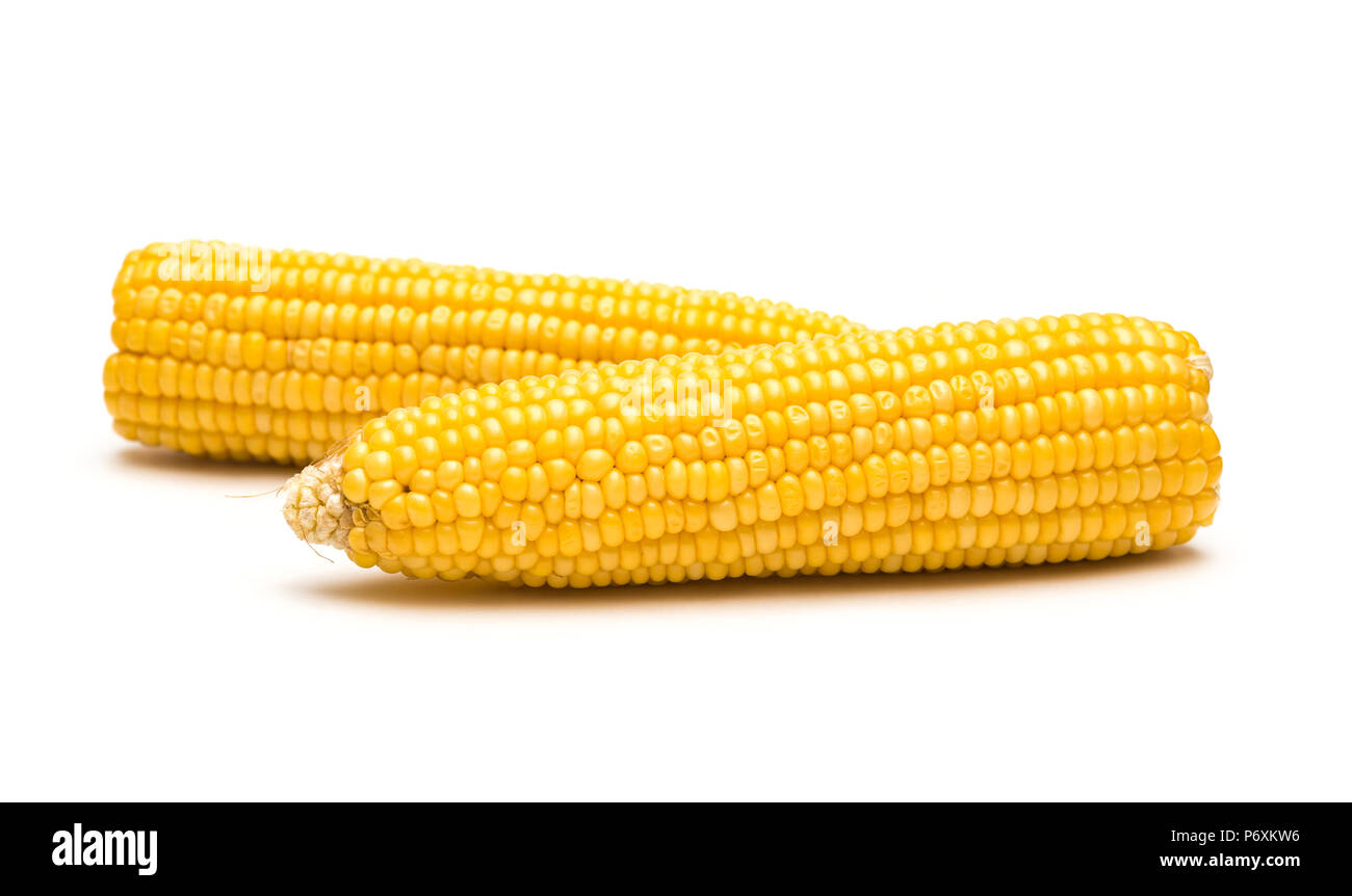 Corn on white background Stock Photo - Alamy