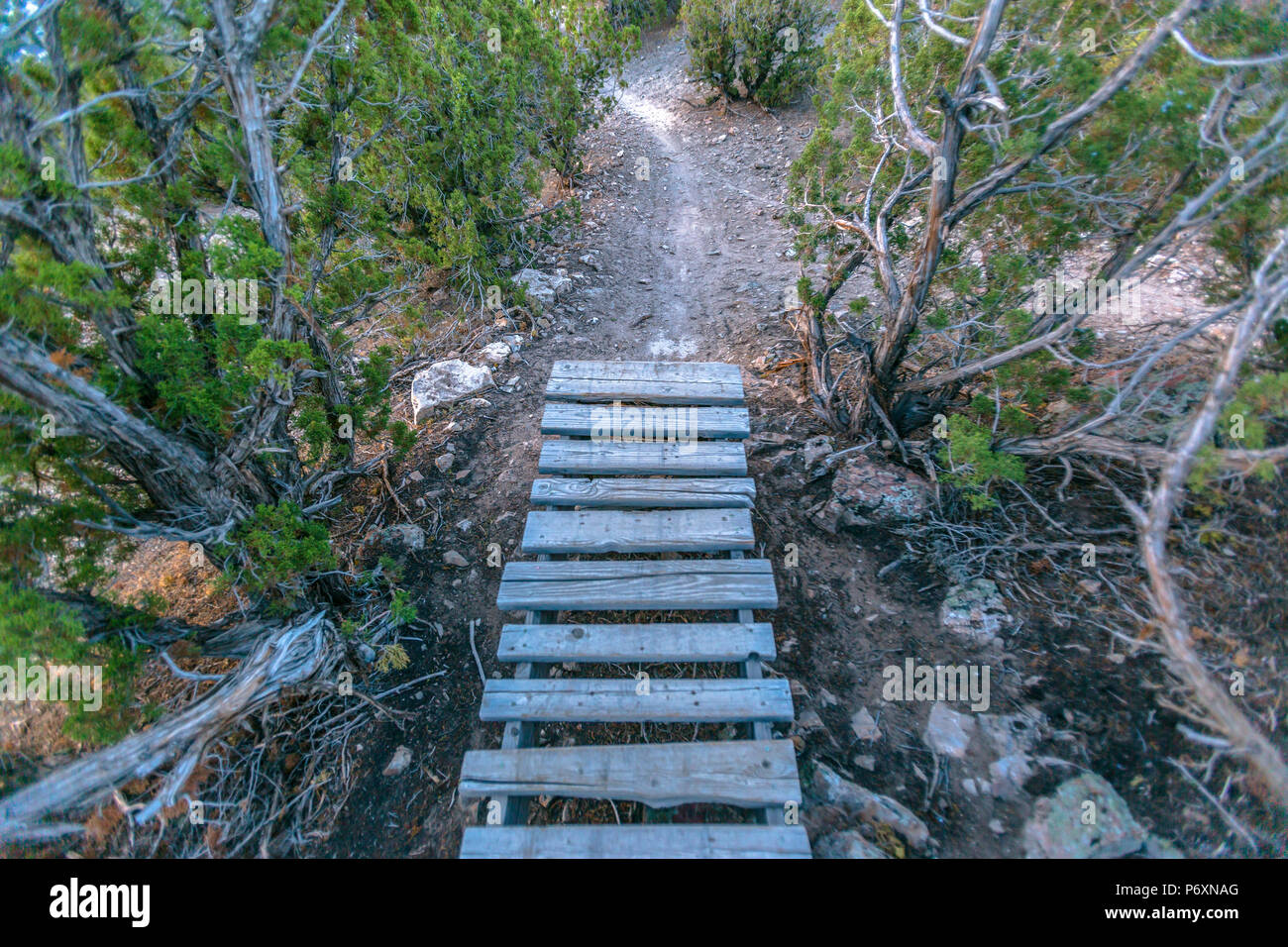 Bike trials on a trail Stock Photo - Alamy