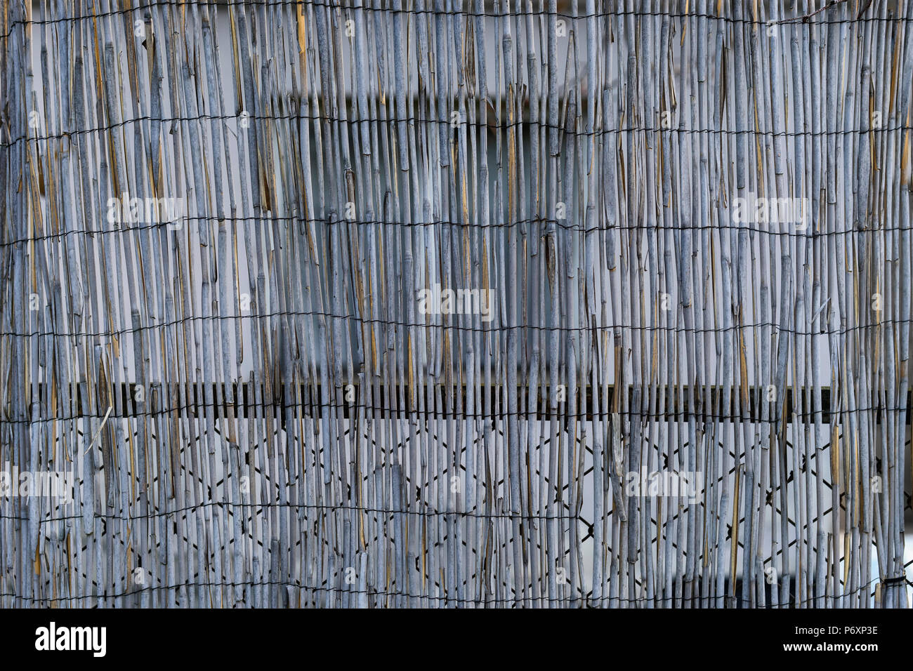 The reed is tied by wire at the house fence with a window Stock Photo ...