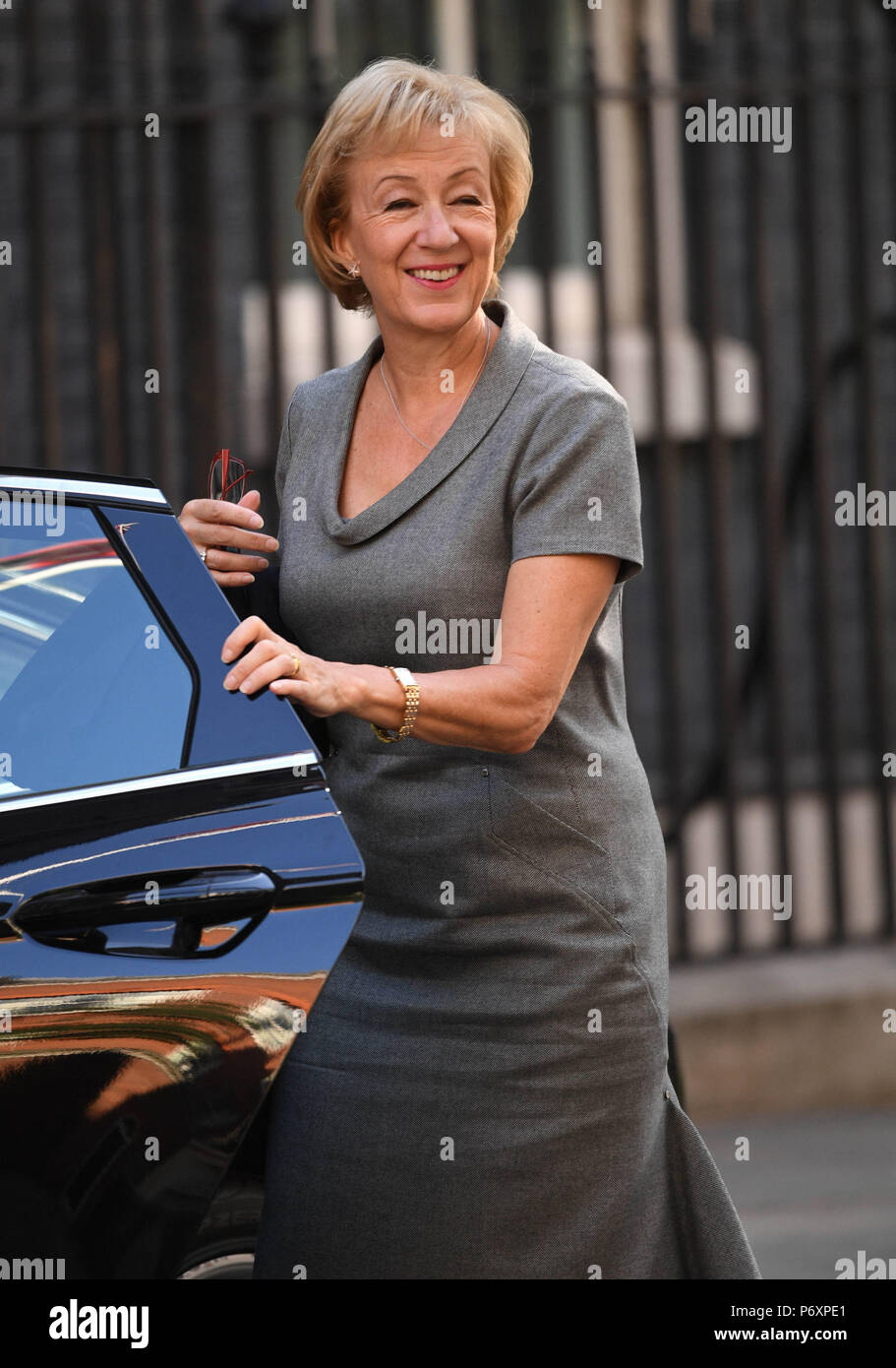Leader of the House of Commons Andrea Leadsom arrives in Downing Street ...
