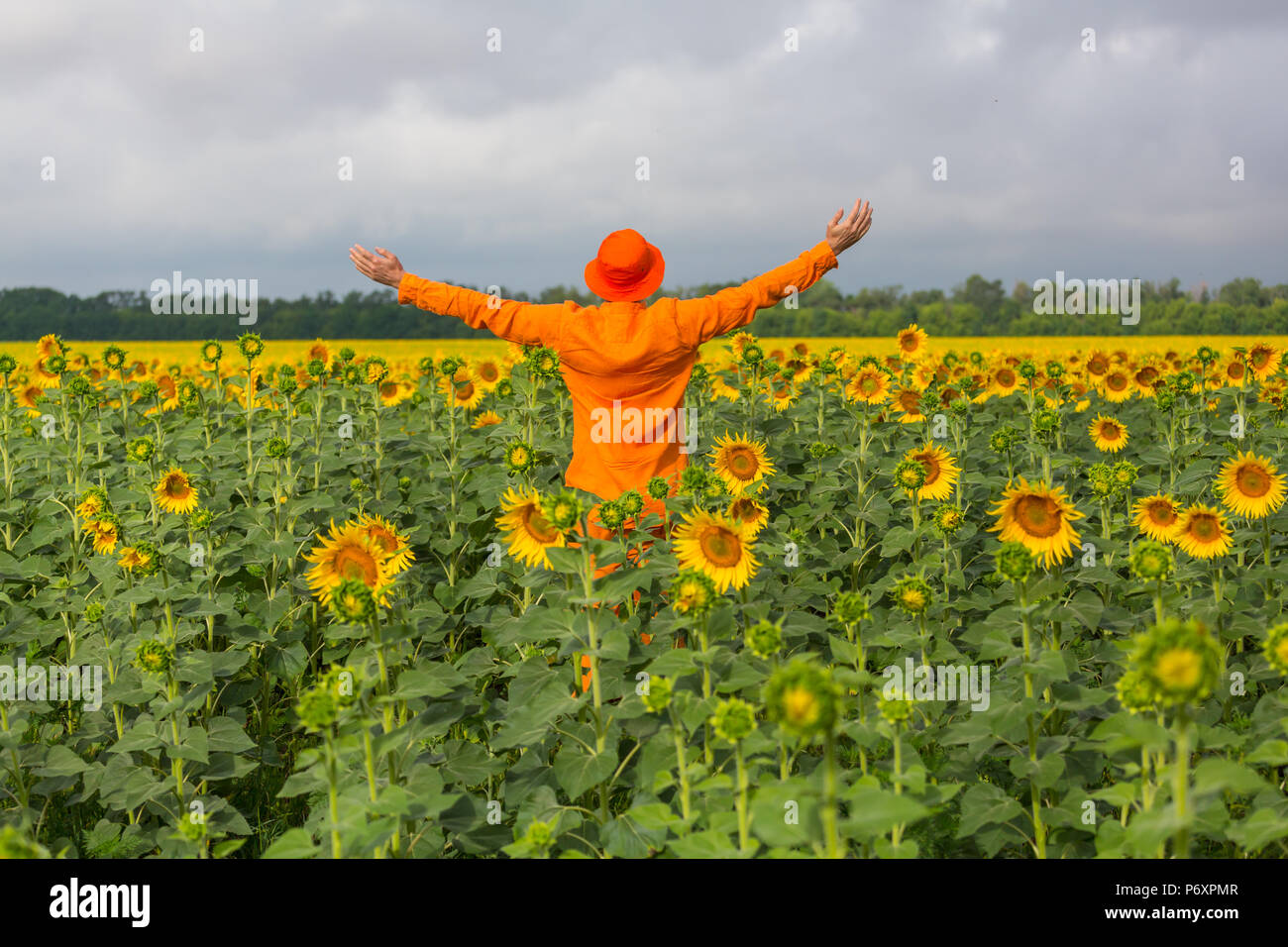 Sunner season hi-res stock photography and images - Alamy