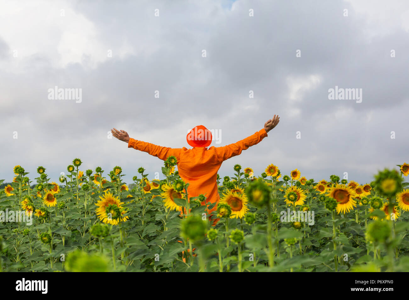 Sunner season hi-res stock photography and images - Alamy