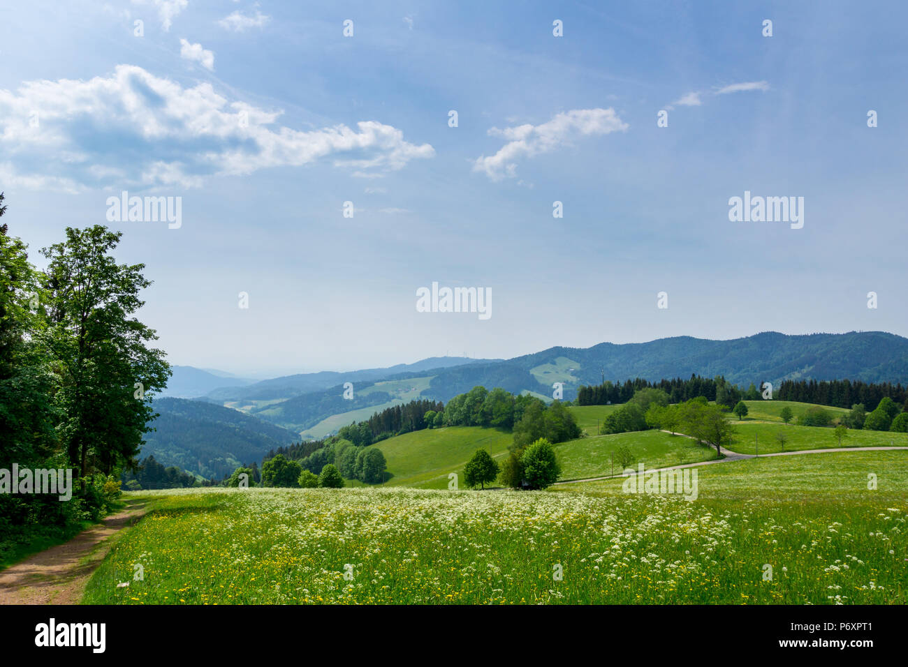 Germany, Hike trails on Lindenberg in panoramic black forest nature ...