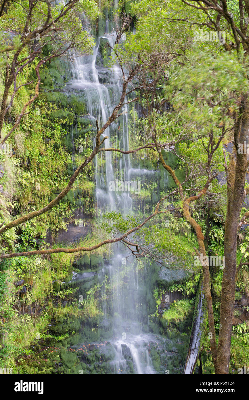 Victoria falls road hi-res stock photography and images - Alamy