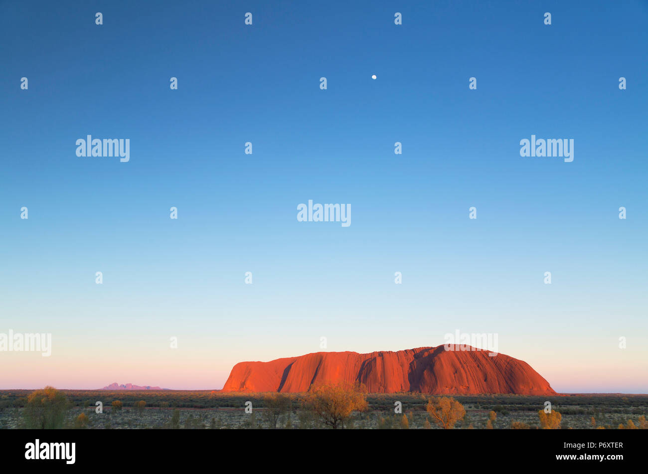 Uluru (UNESCO World Heritage Site) at dawn, Uluru-Kata Tjuta National ...