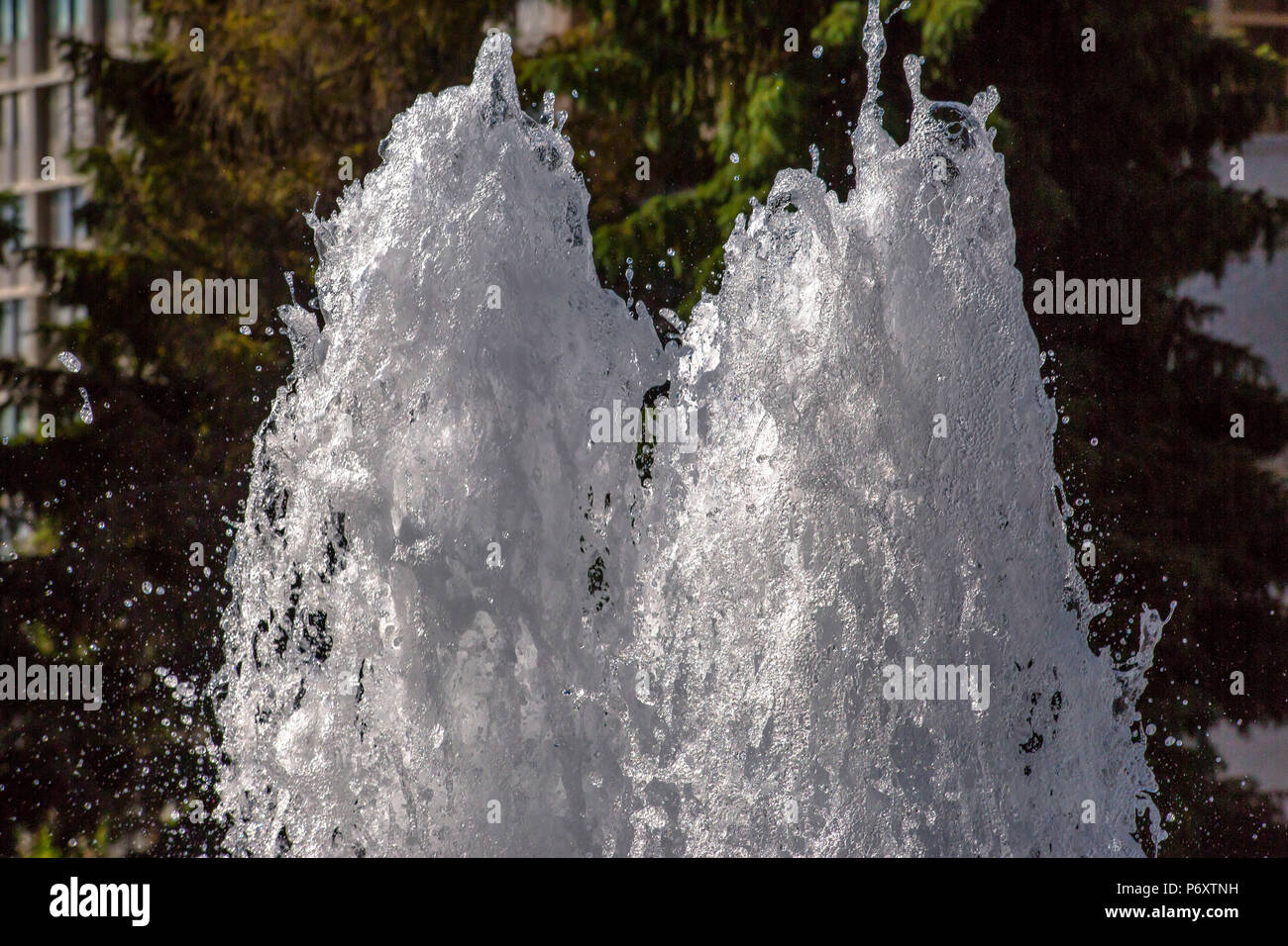 Double water jets flowing vertically Stock Photo - Alamy