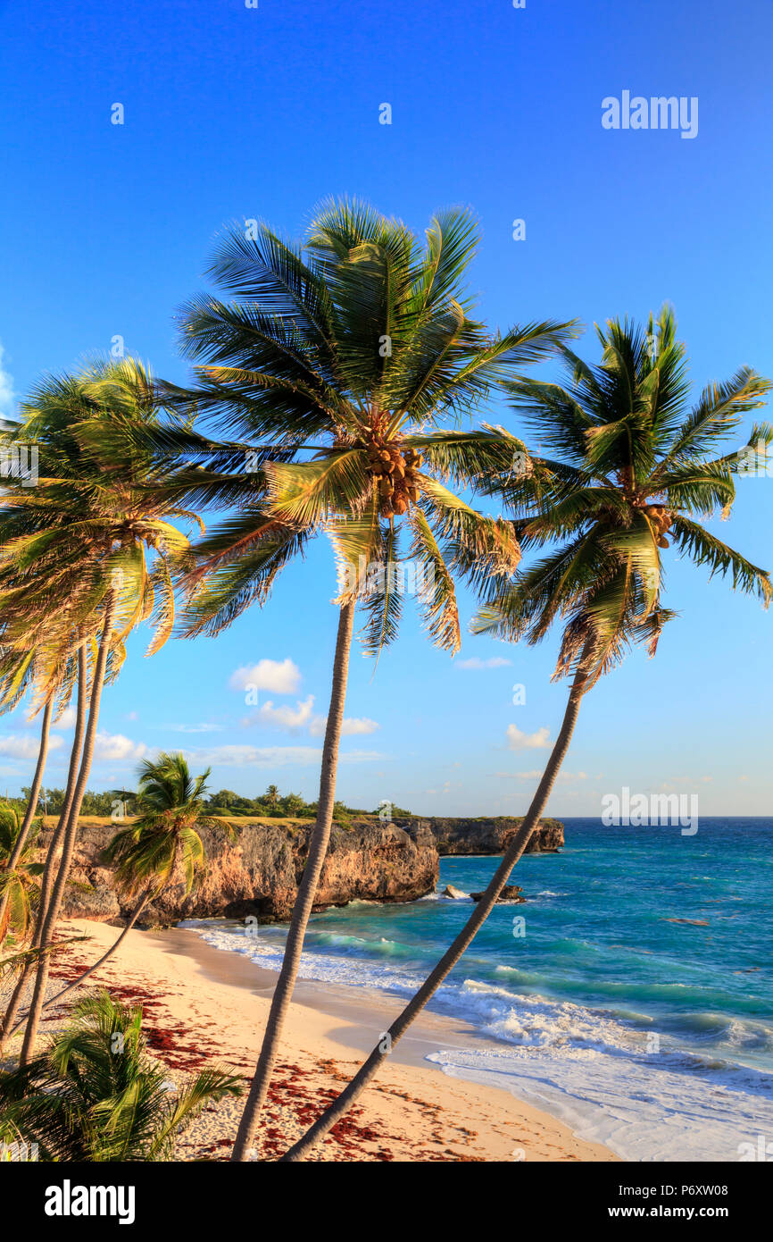 Caribbean, Barbados, Bottom Bay Beach Stock Photo - Alamy