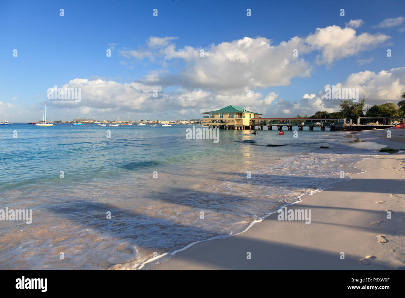Caribbean, Barbados, Pebbles Beach, local men washing horses at dawn ...
