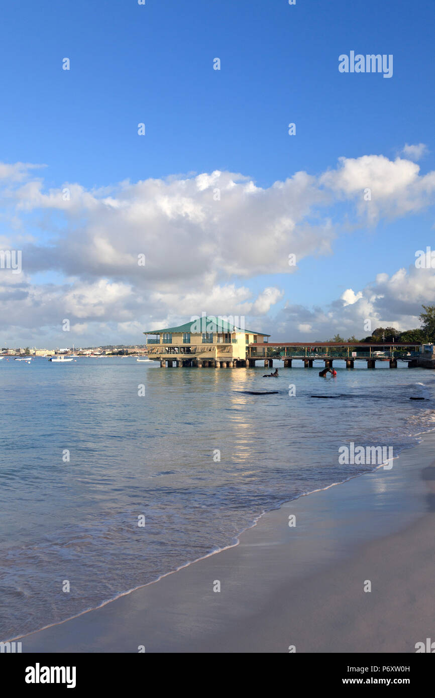 Caribbean, Barbados, Pebbles Beach, local men washing horses at dawn ...